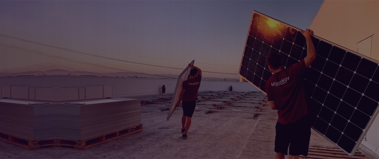 Meet Our Expert Packaging and Moving Specialists | Murawaymoving.com